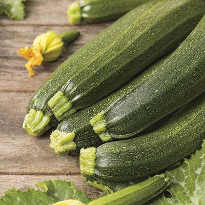 Courgette Seeds £0.50 + Free Delivery on Everything at DT Brown ...