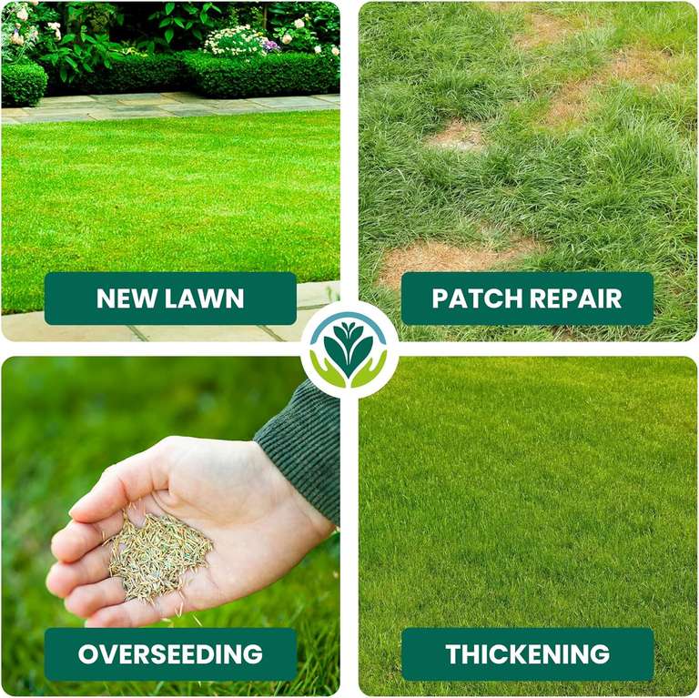 GardenersDream Premium Hard Wearing Grass Seed 5kg (300m2) – £22.74 at ...