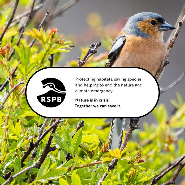 RSPB - Winter Suet Pellets, Wild Bird Food for Small Birds, Robins ...