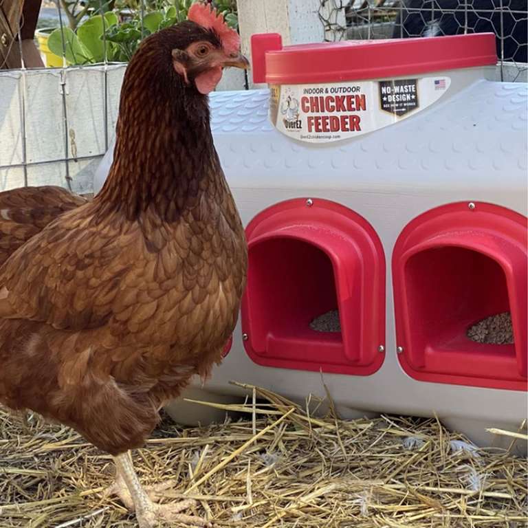 OverEZ Chicken Feeder Holds 50 Pounds of Feed with Rainproof, Indoor ...