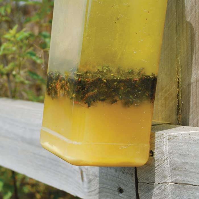 Zero In Ultra Power XL Outdoor Fly Trap – £5.50 at Amazon | hotukdeals
