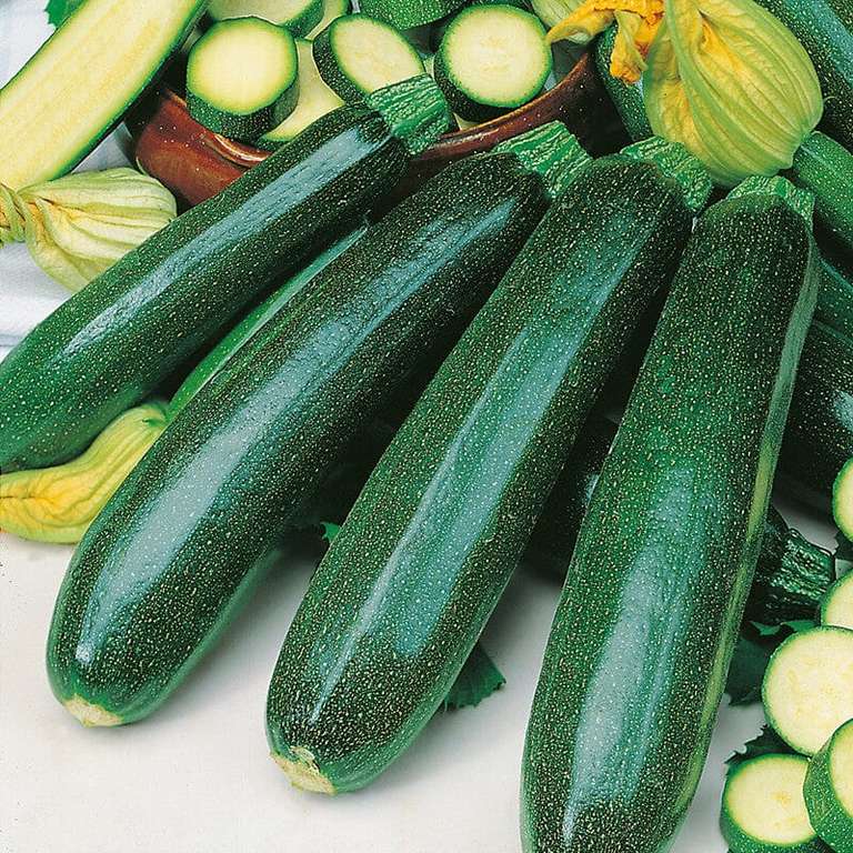 Courgette Seeds £0.50 + Free Delivery on Everything at DT Brown ...