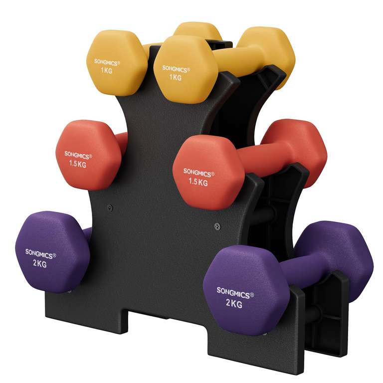 SONGMICS Weight Lifting Dumbbell Kit with Storage Stand - sold and ...