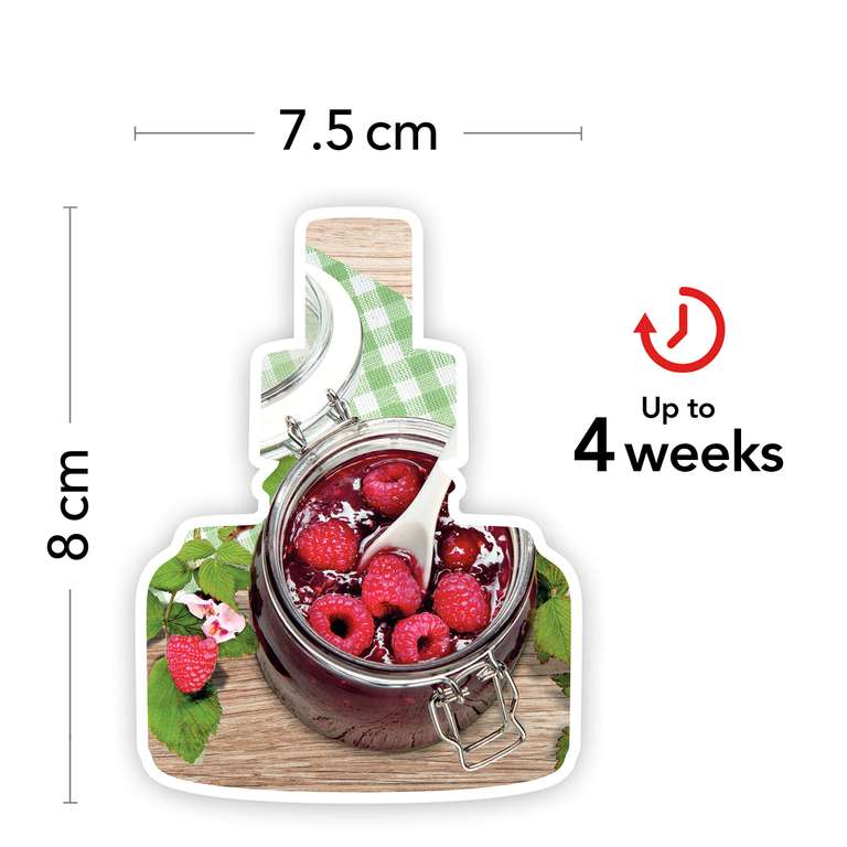Yankee Candle ScentPlug Fragrance Refills | Red Raspberry Plug in Air ...
