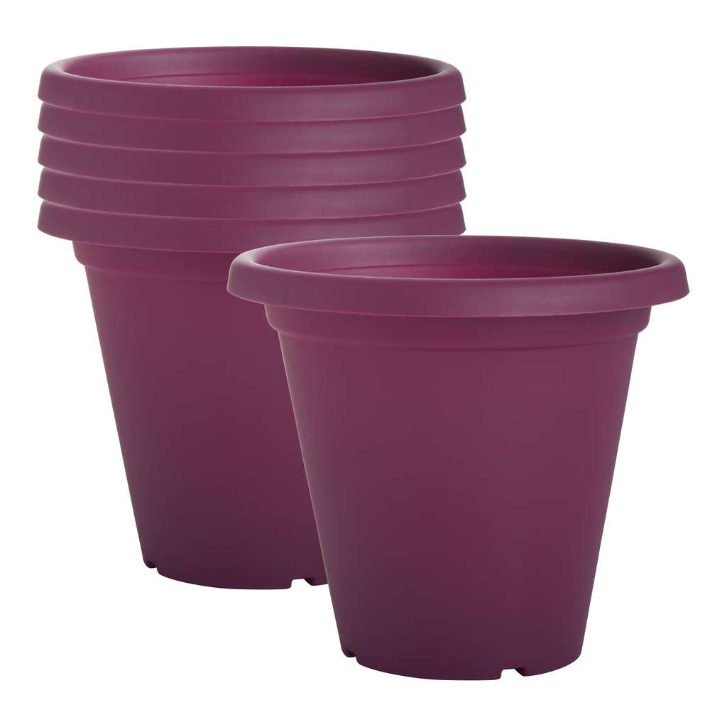 Clever Pots Plastic Plant Pot, 6x19cm – £12.82 at Orchid Amazon ...